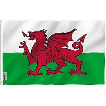 Amazon.com : Wales Flag 3 x 5 Brand NEW 3x5 Welsh Dragon Flag : Outdoor ...