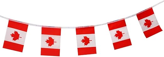 Street27 Canada Flag String Flag for Sport Bars Party Decorations 5.5M ...