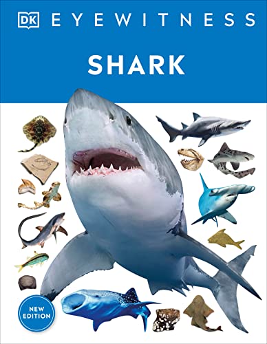 Shark: Dive into the fascinating world of sharks (DK Eyewitness): DK ...