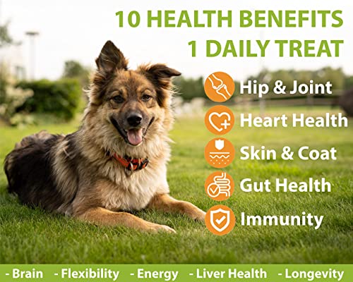 Googipet 10 in 1 Dog Multivitamin with Dog Probiotics for Gut Health, Dog Vitamins and ...