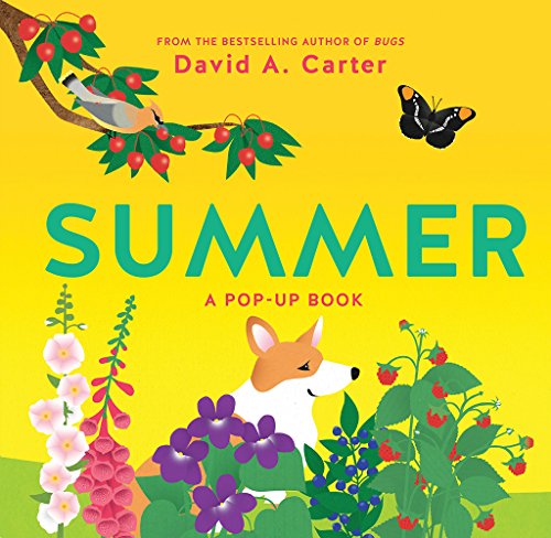 Amazon.com: Summer: A Pop-Up Book (Seasons Pop-up): 9781419728327 ...