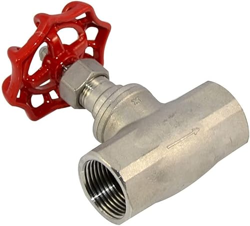 DAN SPEED NPT Female Threaded Heavy Duty Globe Valve,Inline,Stainless ...