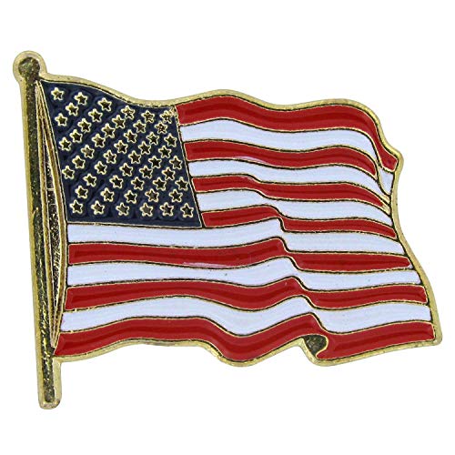 US Flag Store Waving Lapel Pin USA Flag | Amazon price tracker ...