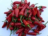 Apache Pepper: Compact Heat - PepperScale