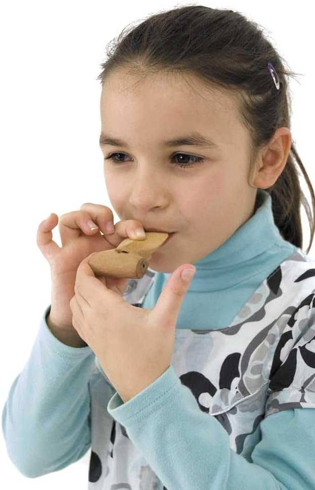 FUZEAU 7009 Whistle Brazilian Tritonal Apito Samba Drums – BigaMart