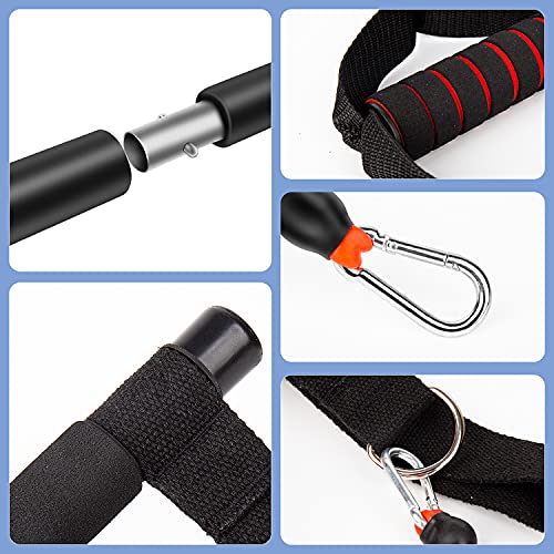 Drafitorts 10 Resistance Bands with Pilates Bar Kit for Muscle Toning ...