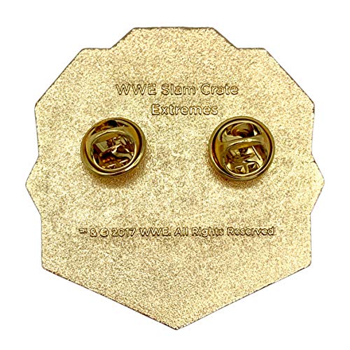 WWE United States Champion Pin- Special Edition American Flag Slam ...