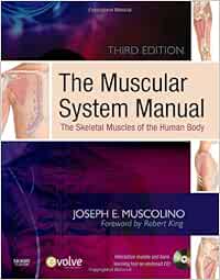 The Muscular System Manual: The Skeletal Muscles of the Human Body ...