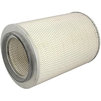 Amazon.com: Donaldson P532503 Air Filter, Primary: Industrial & Scientific