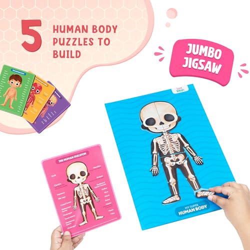 Human Body Puzzles For Kids