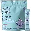 Waterboy Hangover Relief Electrolyte Powder Packets - 3170mg of ...