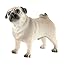 SCHLEICH 16381 Pug, male: Amazon.co.uk: Toys & Games