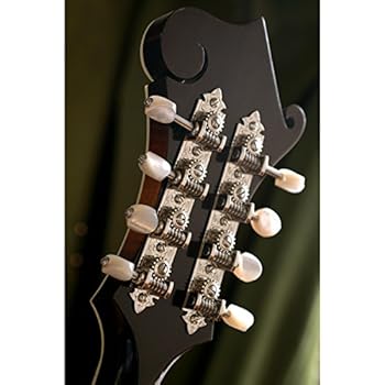 Amazon.com: Waverly F-style Mandolin Tuning Machines with Pearl Knobs ...