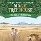 Amazon.com: Lions at Lunchtime (Magic Tree House, No. 11 ...