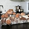 inbloom Organic Shiitake Mushroom Grow Kit, Indoor Mushroom Kit ...