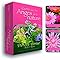 Amazon.fr - Guérir avec les anges de la nature : 44 cartes oracles avec ...