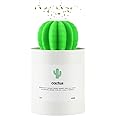 Amazon.com: Cactus Humidifiers, Desktop Mini Cool Mist Humidifier 280ml ...