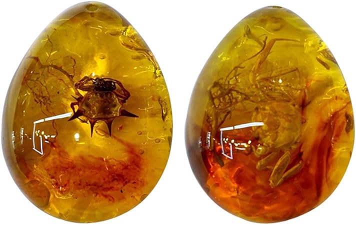 VOSAREA Bernstein Fossil mit Insekten Edelsteine Amber Handstein ...