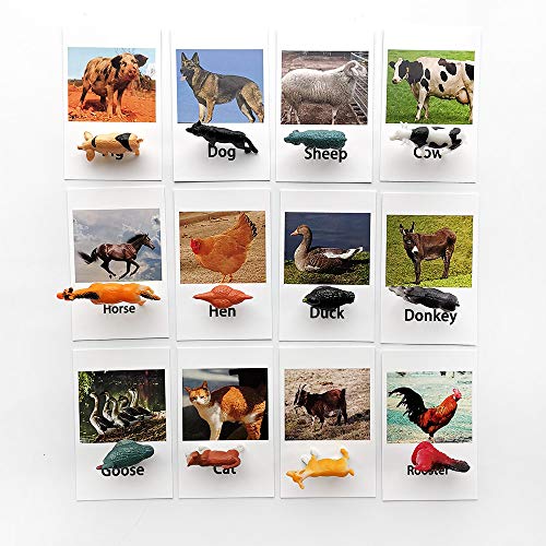 MEROCO Montessori Animal Match Cards - Miniature Poultry Animals with ...