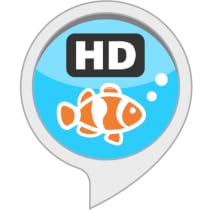 Amazon.com: Fish Tank Screensaver: Alexa Skills
