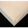 Amazon.com: Arches Text Wove Printmaking Paper (Ten Sheets) 19.5x25.5 ...