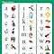 Abeka Basic Phonics Charts (Grades 1-3) 2016: Abeka: Amazon.com: Books