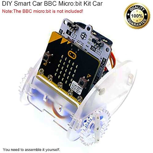 Amazon.com: microbit