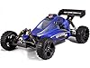 Redcat Racing Rampage XB Gas Buggy, Blue, 1/5 Scale in Kuwait | Whizz ...