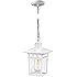 Nuvo Lighting 60/4954 Cove Neck One Light Hanging Lantern 100 Watt A19 ...