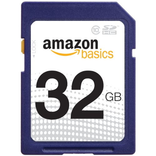 AmazonBasics SDHC Class 10 32 GB Secure Digital Card (B0058GH2DY ...