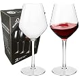 Amazon.com: MICHLEY Floating Wine Glasses for The Pool,Unbreakable ...