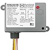 Functional Devices RIB2401B Power Relay, 20 Amp SPDT, 24 Vac/dc/120 Vac Coil, NEMA 1 Housing in ...