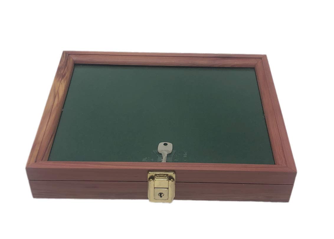 Southern Star Cedar, Cherry, Oak, or Walnut Wood Display Cases – Oddity ...