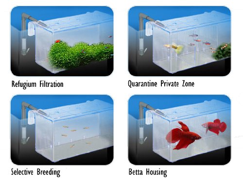 Finnex External Refugium Breeder Hang-on Box Air Pump, Fuge Ray LED ...