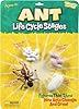 9 Pack INSECT LORE ANT LIFE CYCLE STAGES in Bahrain | Whizz Science