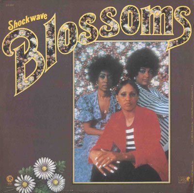 - Shockwave - Amazon.com Music