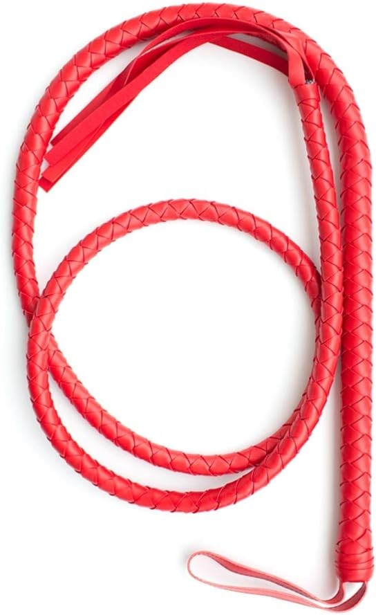 HEALLILY 1.9m Doux Fouet à la Main équestre tressé Sangle Fouet pour ...