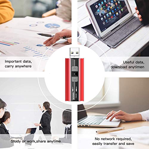 SCICNCE USB 3.0 Flash Drives 256GB, Memory Drive 256GB Photo Stick ...