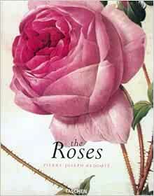 The Roses: Redoute, Pierre Joseph: 9783822866290: Amazon.com: Books