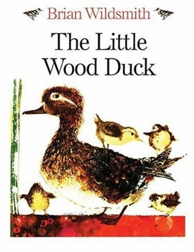 The Little Wood Duck: Wildsmith, Brian: 9780192724014: Books - Amazon