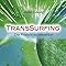 TransSurfing. Die Realität ist steuerbar: Amazon.de: Vadim Zeland ...