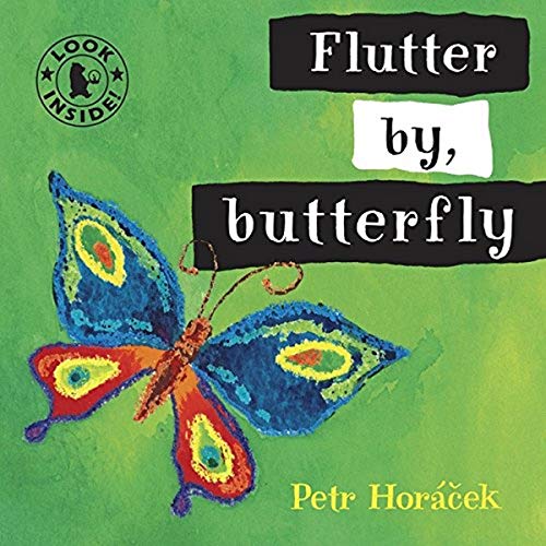 Amazon Flutter By Butterfly 9781406325072 Horacek Petr Books