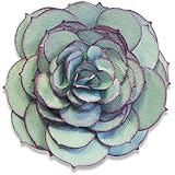 Sizzix 661788 Thinlits Die Fleur en Spirale Métal Multicolore 13,5 x 8 x 0,2 cm: Amazon.fr ...