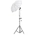 Amazon.com : Studiohut KIT2CS Photography Studio Continuous Lighting ...
