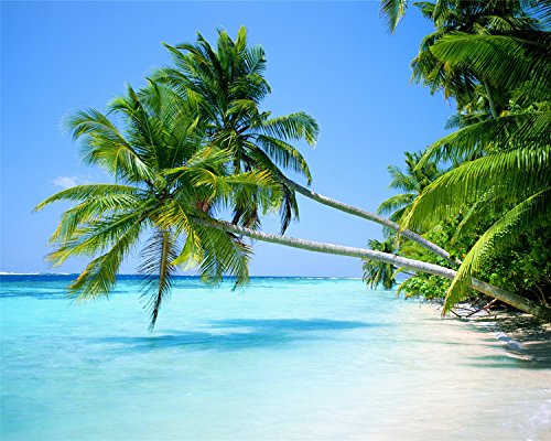 Seascape Paint By Number Kits For Adults | Paint By Number Seascapes