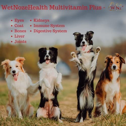 Dog Multivitamins and Supplements, Probiotics for Dogs w/Turmeric & Yucca, Probiotic Dog Chews ...