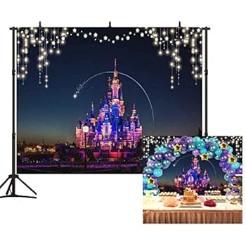 Amazon.com : VIDMOT Disneyland Castle Backdrop Theme Park Night Scene ...