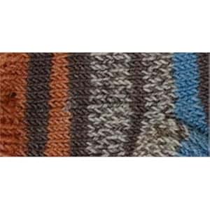 Amazon.com: Patons Stretch Socks Yarn, Pumpkin Spice
