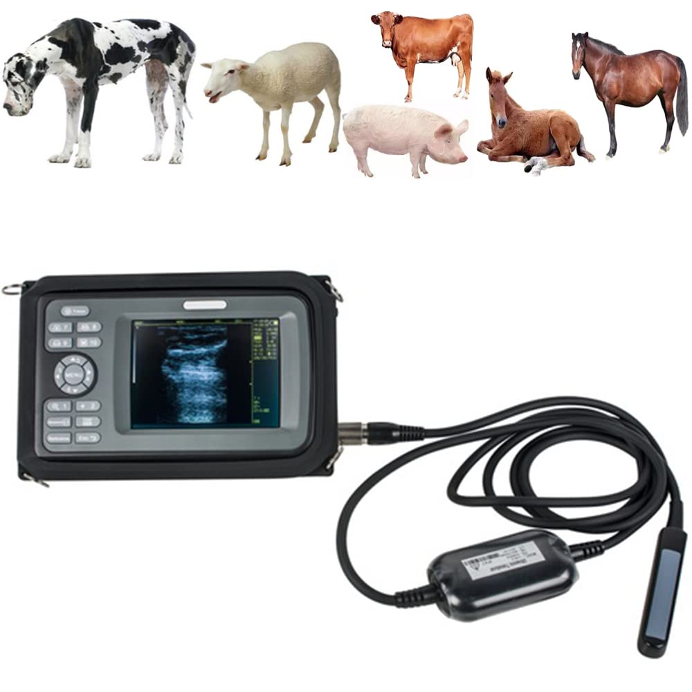 Mua Colilove Veterinary Ultrasound Scanner Handheld Digital Ultrasound ...
