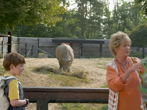 Watch Dino Dan Season 1 | Prime Video